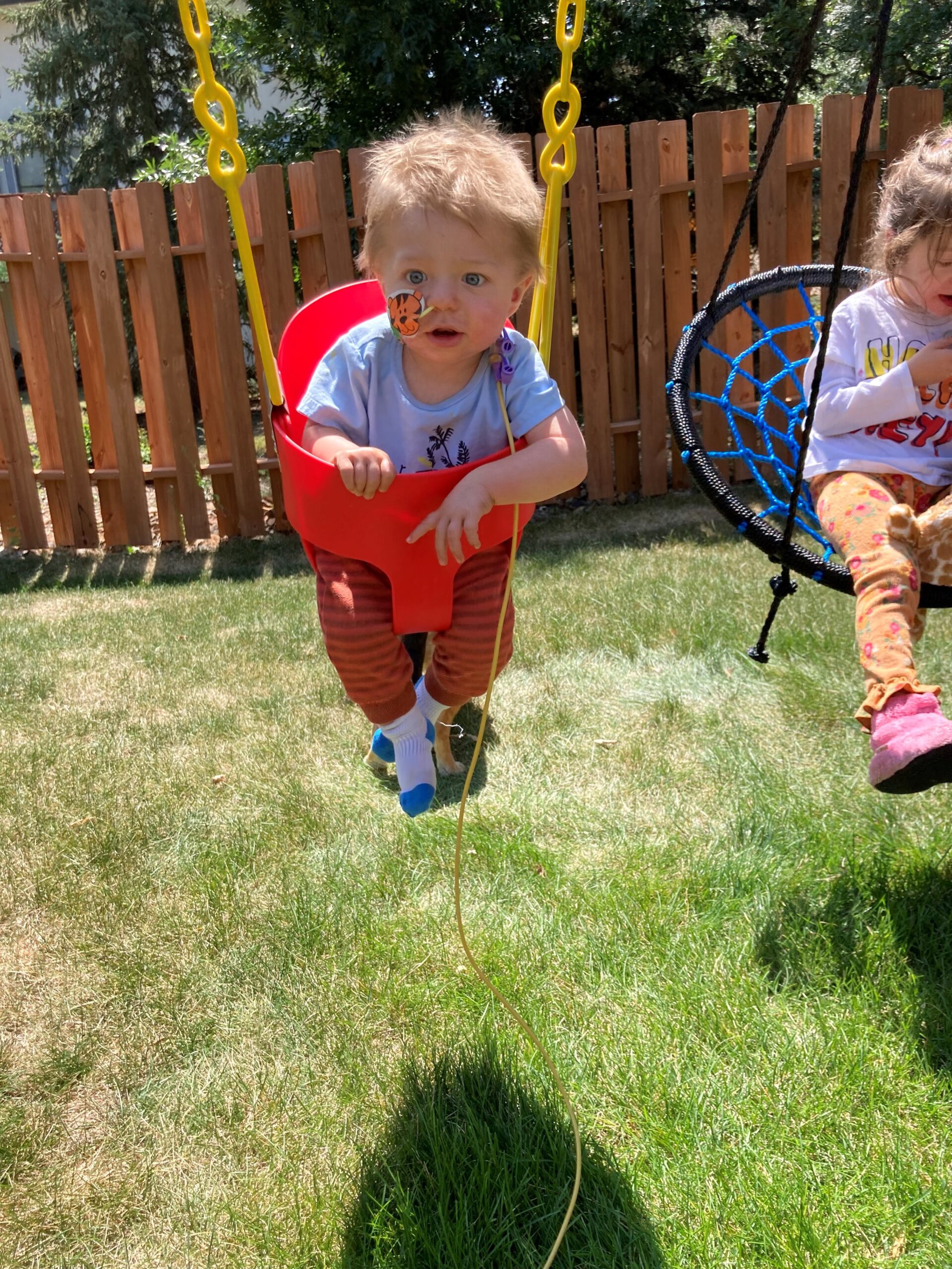 Leo - Morgan Adams Foundation