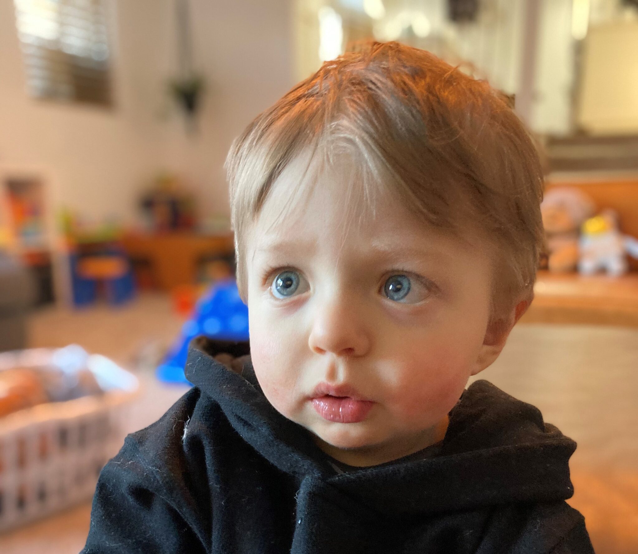 Leo - Morgan Adams Foundation