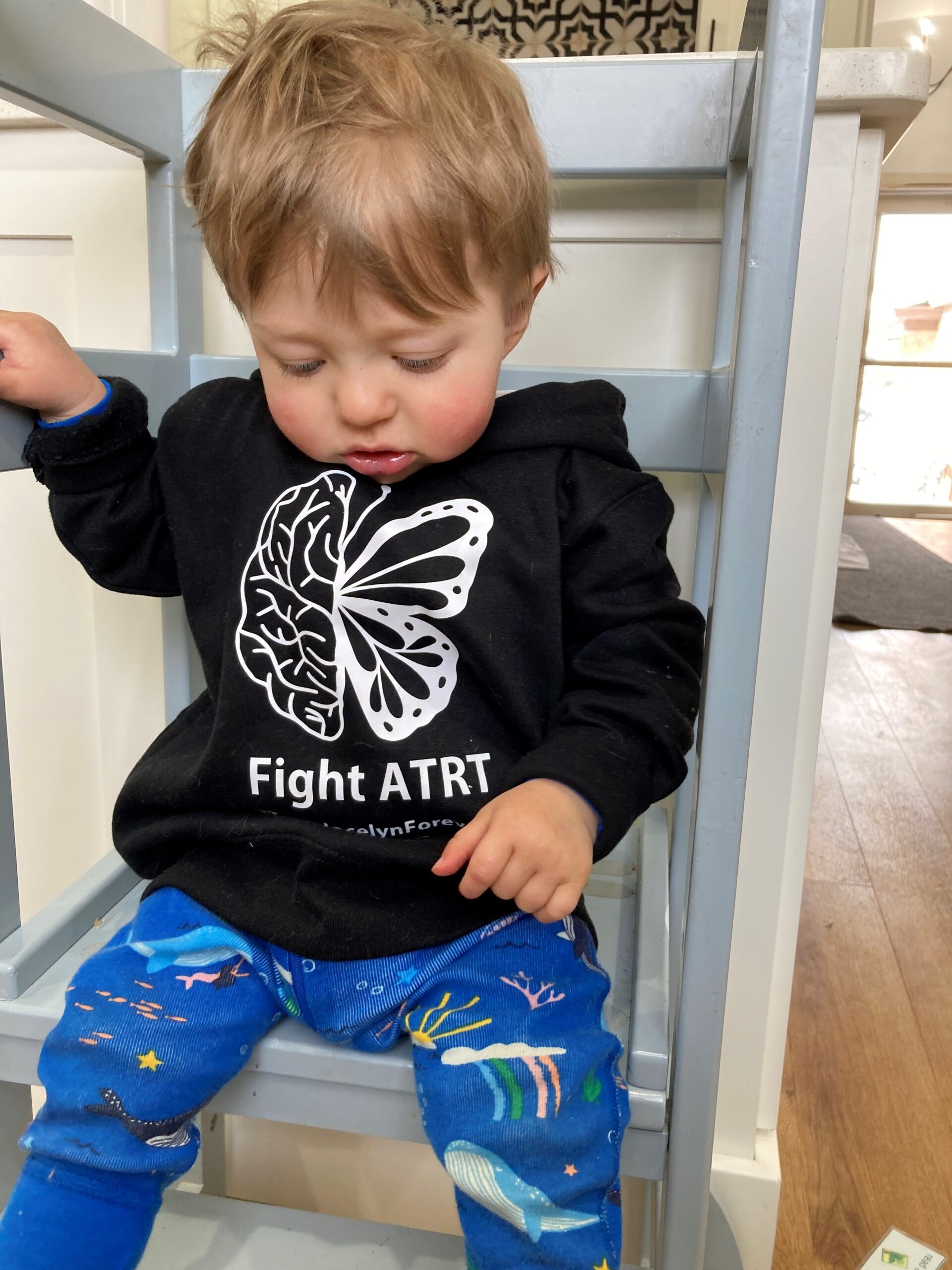 Leo - Morgan Adams Foundation