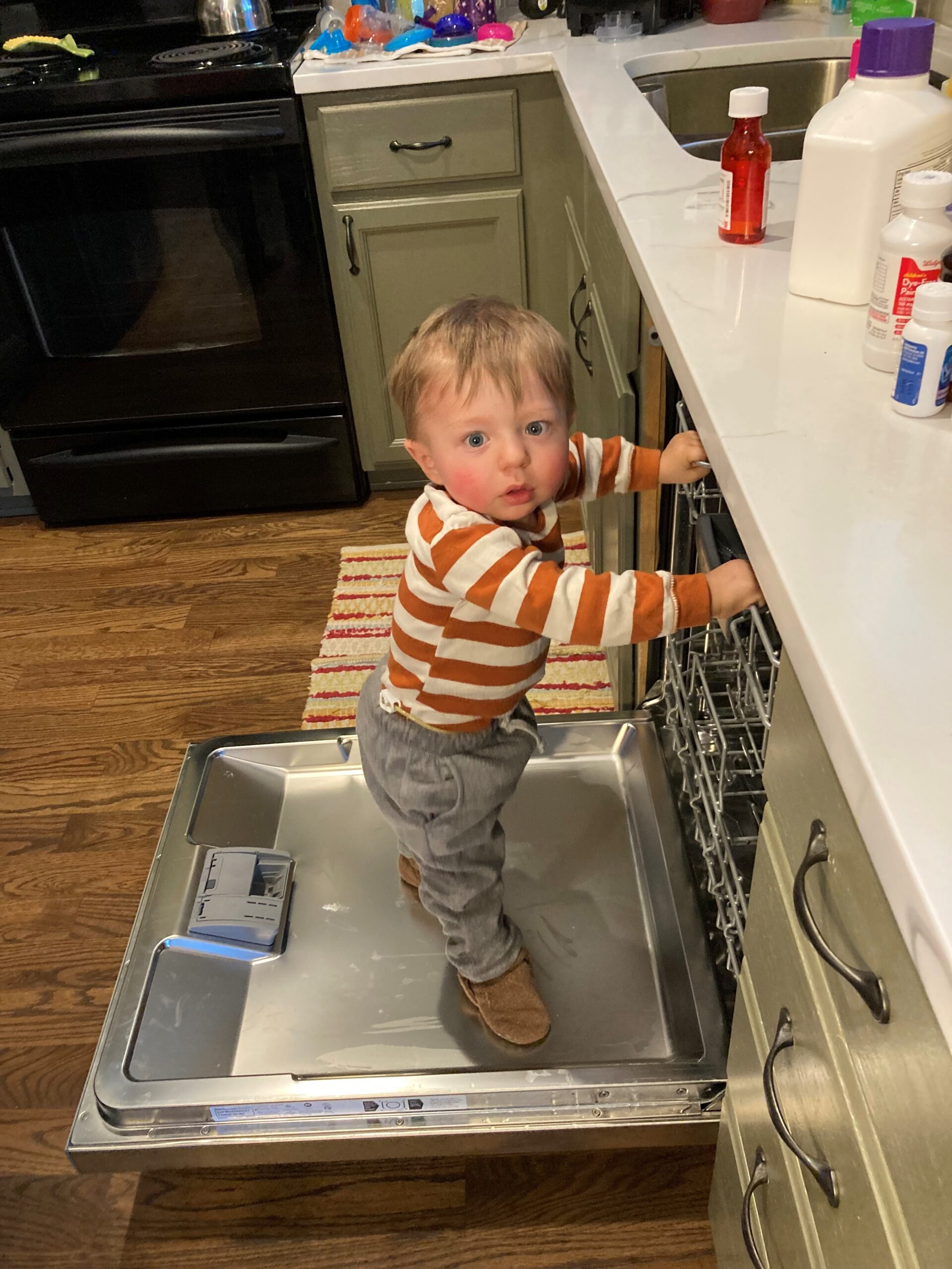 Leo - Morgan Adams Foundation