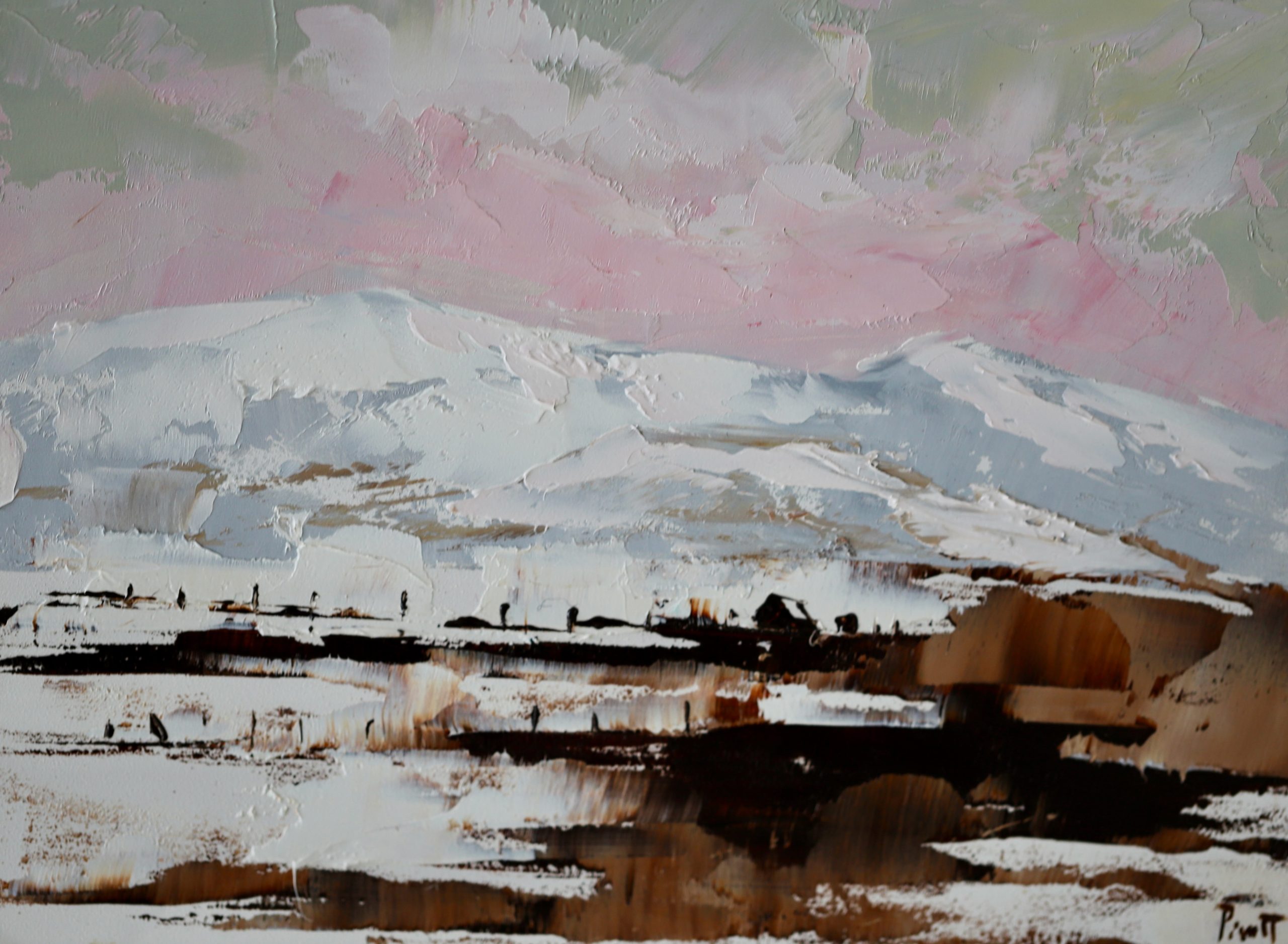 Pink Sky - Morgan Adams Foundation