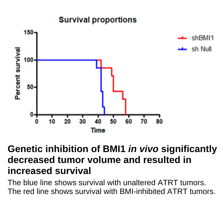 The search for effective treatment for kids with atypical teratoid ...